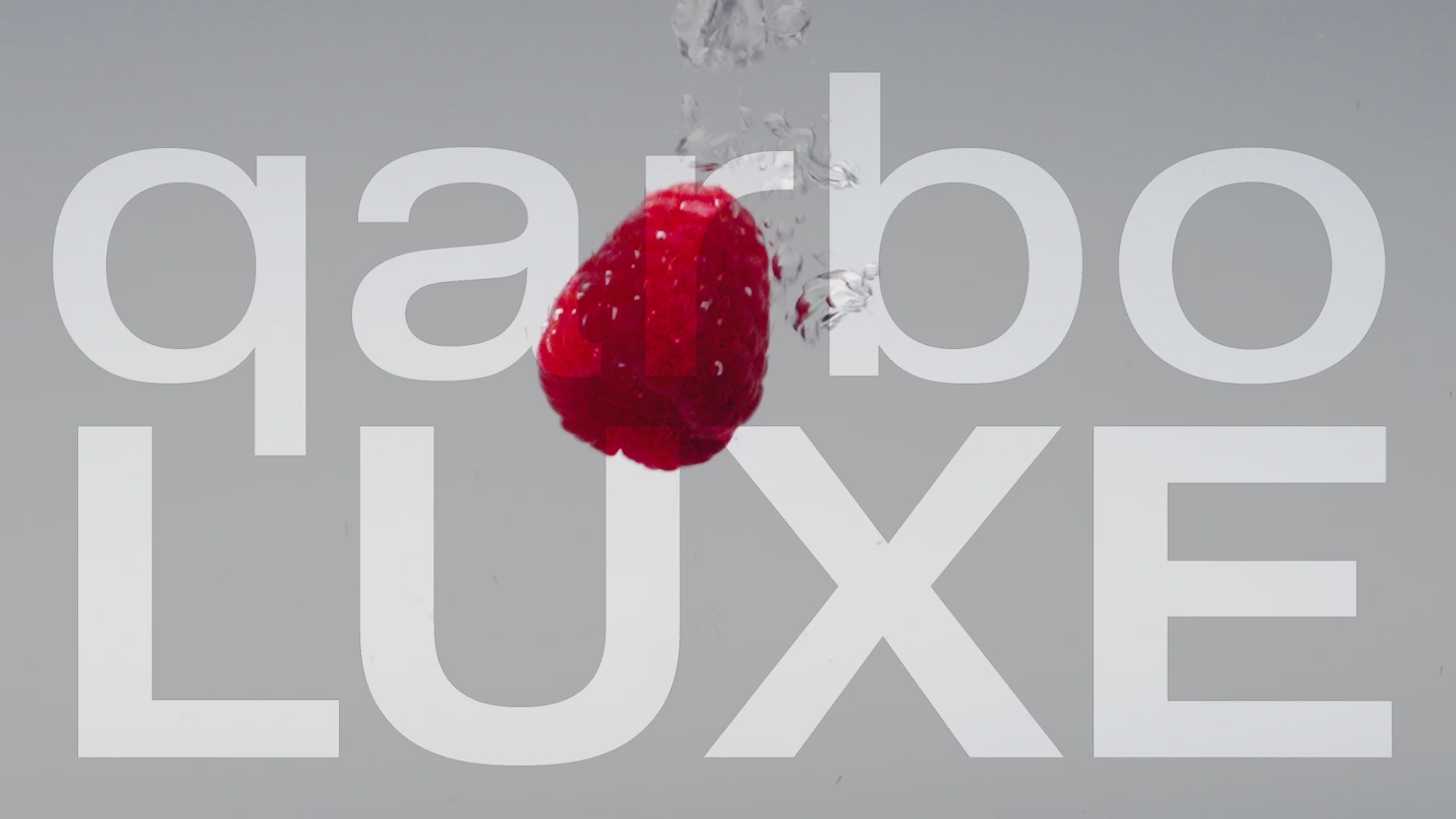 Qarbo LUXE – Premium Sparkling Water & Drink Maker | Infuse Real Fruit ...